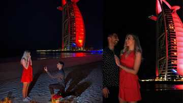 Everything to know about Vikkstar's girlfriend, Ellie Harlow - Briefly ...