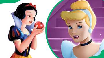 How old is Snow White? Disney love stories and their age gaps - Briefly ...