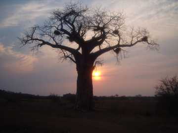 10 best heritage sites in South Africa and their significance - Briefly ...