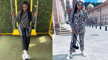 Lady Du's bio: age, real name, boyfriend, career, net worth - Briefly.co.za