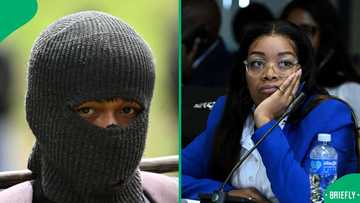 Masked Zama Zamas Dare Jacinta Ngobese-Zuma in Chilling Viral Videos ...