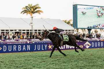 Influencer Dresses in Iconic South African Kitchen Item for Durban July ...