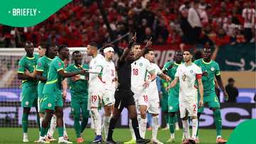 FIFA Introduces Red Card for Players Who Walk Off Pitch at World Cup ...