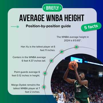 What is the average WNBA height? Position-by-position guide - Briefly.co.za