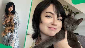 Top 15 South African influencers you need to follow in 2025 - Briefly.co.za