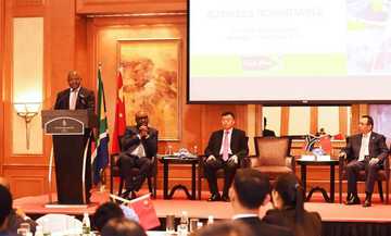 David Mabuza age, children, wife, education, current office, house ...