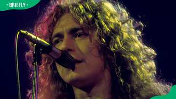 Who is Robert Plant's partner now? From Maureen Wilson to today - Briefly.co.za
