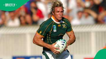 Springboks Legend Percy Montgomery: Rugby Icon’s Career, Net Worth and ...