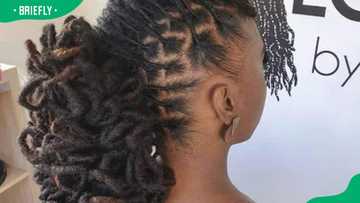 50 wedding dreadlock styles: Best suggestions for the bride - Briefly.co.za