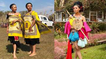Swazi culture: food, clothing, people, beliefs, wedding ceremony ...