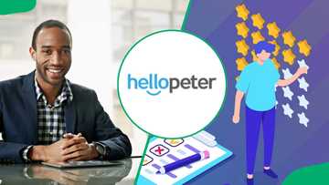 How to check a company on Hellopeter: A step-by-step guide - Briefly.co.za
