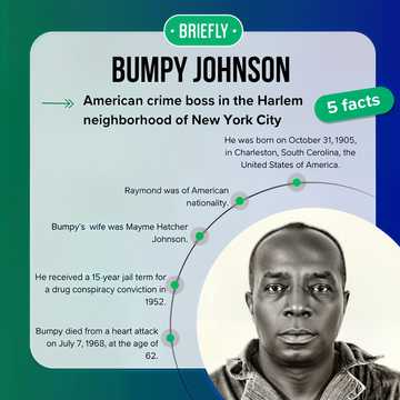 Bumpy Johnson: the man, the myth, and the legacy he left behind ...