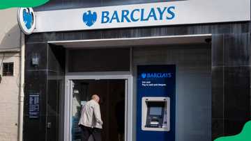 Who is Jason Quinn, Nedbank's new CEO? Everything to know - Briefly.co.za