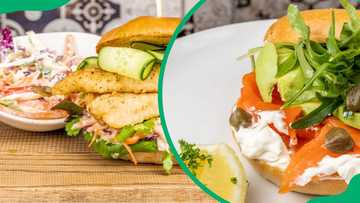 Parrots menu and prices in South Africa (updated for 2025) - Briefly.co.za