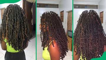 45 Butterfly locs hairstyles and everything you need to know - Briefly ...