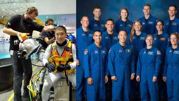 Jonny Kim's wife, biography, children, parents, occupation, profile ...