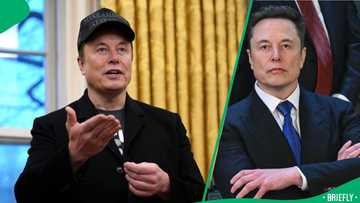 Inside Billionaire Elon Musk’s Family Tree: Meet His 14 Children and ...