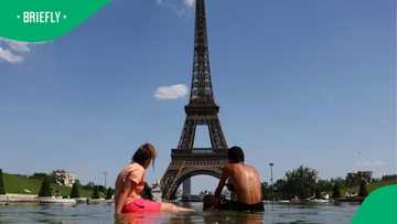 "Blame Climate Change": Deadly European Heatwave Claims 20 Lives As ...
