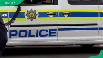 SAPS firearm status check: Everything you need to know - Briefly.co.za