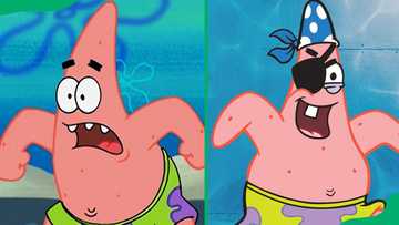 The 25 most famous fat cartoon characters of all time - Briefly.co.za