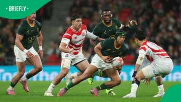 Kurt-Lee Arendse: Springboks Star Set for Permanent Big Money Move ...