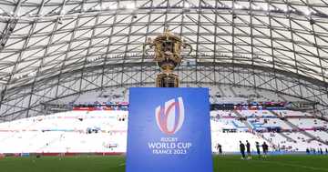RWC 2023: Springboks crowned Rugby World Cup champions after beating ...