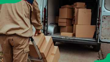 PAXI prices 2025: How much does it cost? Updated pricelist and guide ...