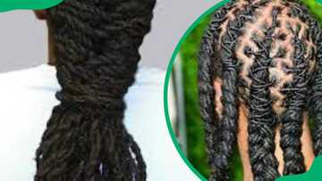50 wedding dreadlock styles: Best suggestions for the bride - Briefly.co.za