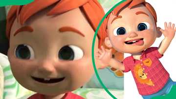 Meet the Cocomelon characters: Names, images and fun facts - Briefly.co.za