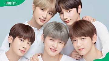 TXT members: Meet the stars of K-Pop's charismatic quintet - Briefly.co.za
