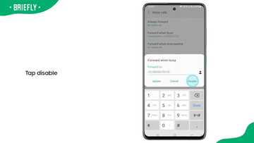 How to divert calls to another number: Easiest methods - Briefly.co.za