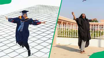 All UNISA qualifications and modules: a comprehensive guide - Briefly.co.za