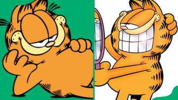 The 25 most famous fat cartoon characters of all time - Briefly.co.za