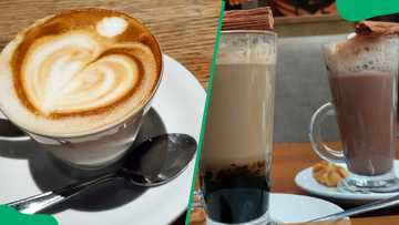 Cappuccinos menu and updated prices in South Africa for 2024 - Briefly ...