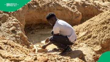 Bapong Illegal Mine Crackdown: Police Arrest 21 Suspects - Briefly.co.za