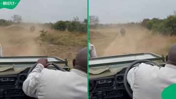 “Driver Needs To Be Promoted”: SA Reacts After Kruger Park Safari Hero ...