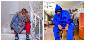 Lesotho-born artist Malome Vector's biography, songs, awards, facts - Briefly.co.za