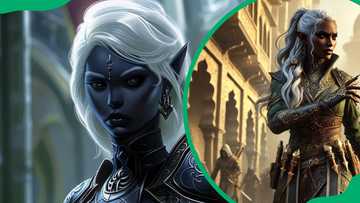 Best female drow names and meanings: top picks for D&D fans - Briefly.co.za