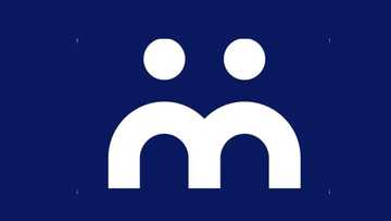 Moya App SASSA status check: download, application, payments - Briefly ...