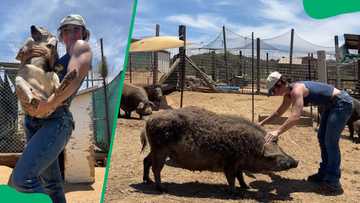 Lean Beef Patty: age, life, and net worth of the fitness YouTuber ...