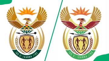 What are the national symbols of South Africa and what do they mean ...