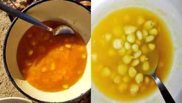 20 must-try Zimbabwe traditional food recipes (with images) - Briefly.co.za