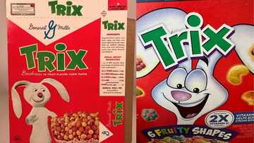 15 top breakfast cereal mascots ranked and their influence - Briefly.co.za