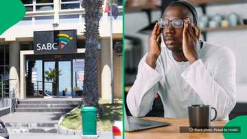 SABC Condemns Employee Who Went Viral for Fighting With FlySafair Air ...