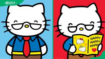 All Sanrio characters explained: from Hello Kitty to lesser-known ...