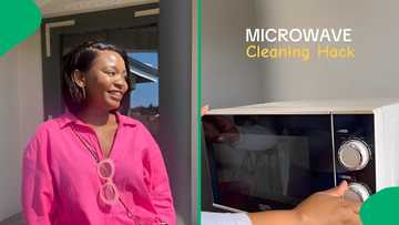 “Depends on the Brand”: Woman Shares Unexpected Microwave Cleaning Hack ...