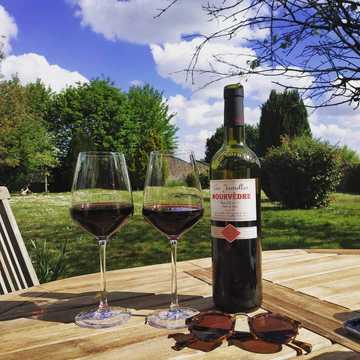 Top 20 best dry red wine types for you to try (wine-tasting experts ...