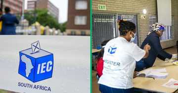 Elections 2024: IEC Prepares for Over 1.6 Million Special Votes on ...