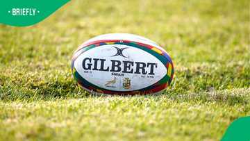 Peter Meagher: Rugby Legend Passes Away After Mass Shooting at a Beach ...