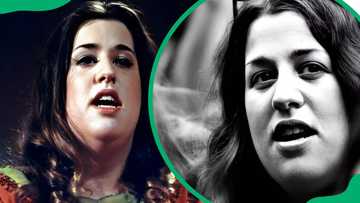 Owen Vanessa Elliot: Who is Cass Elliot's talented daughter? - Briefly ...